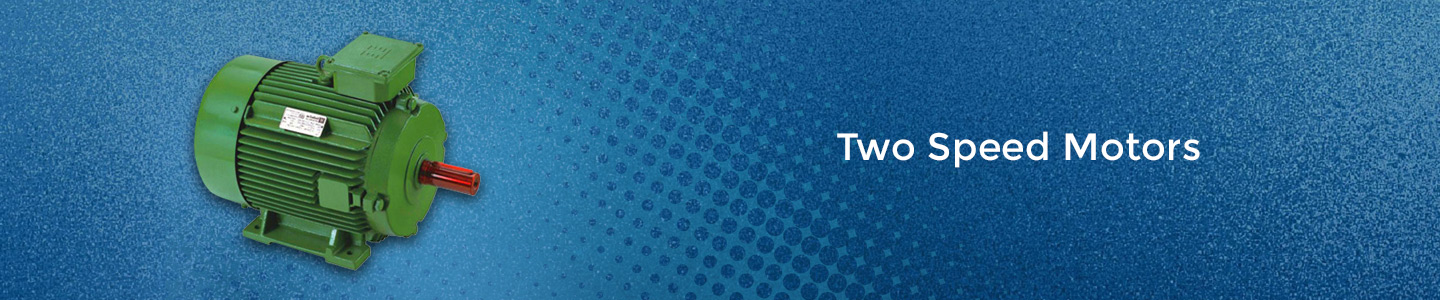 Two Speed Motors Suppliers, Distributors, Traders and Exporters | APPL